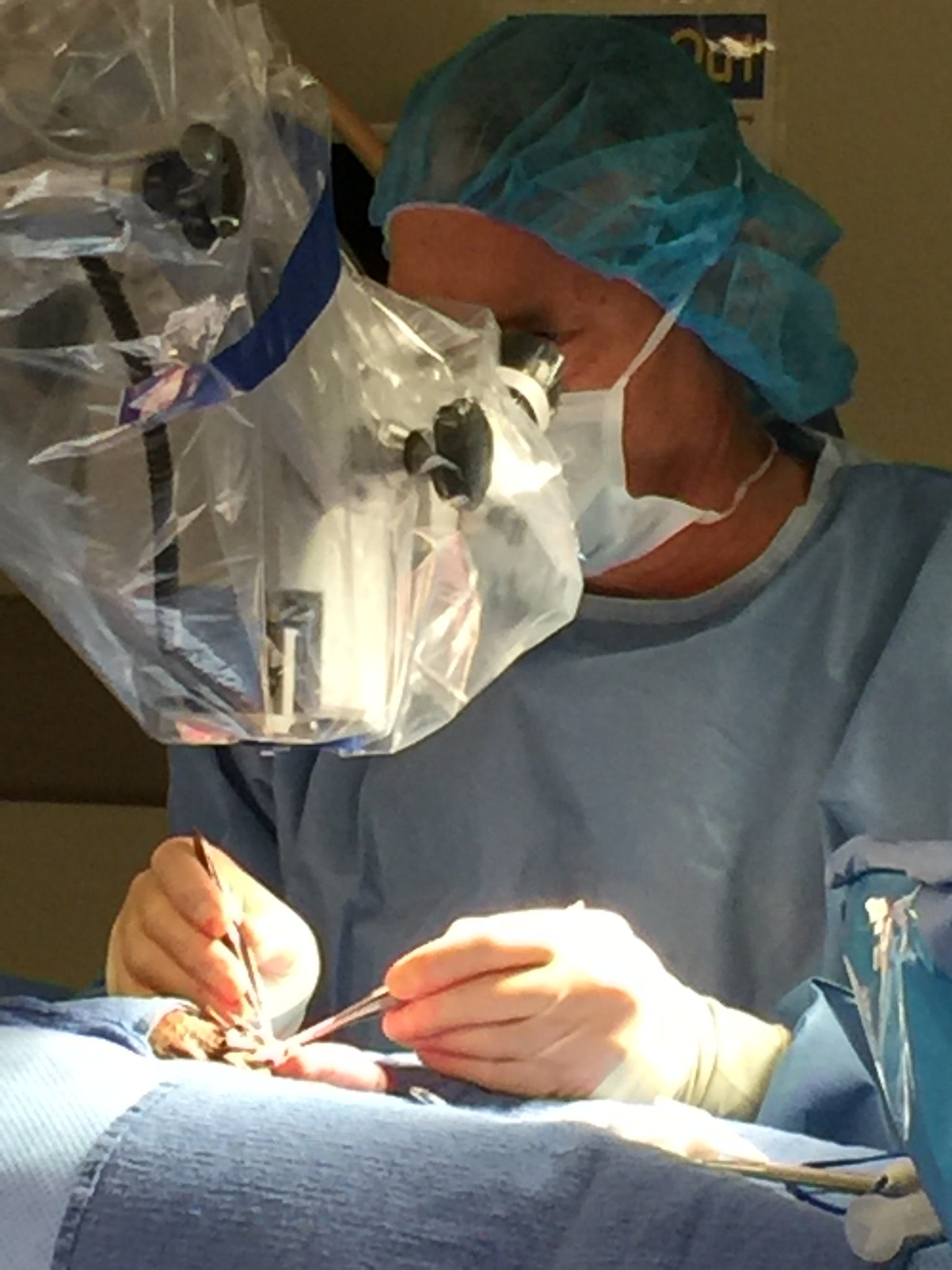 Microscopic Vasectomy Reversal – Northeast Georgia Urological Associates