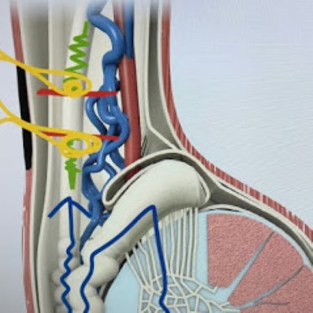 Atlanta vasectomy – Northeast Georgia Urological Associates