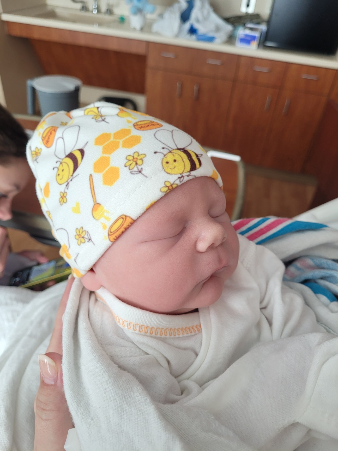 The third testicle? What is the epididymis? – Northeast Georgia ...