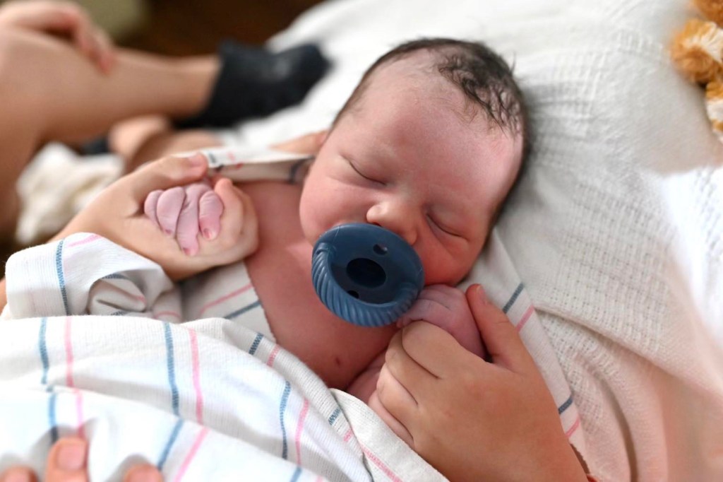 What is the verumontanum and why is it important during GreenLight ...