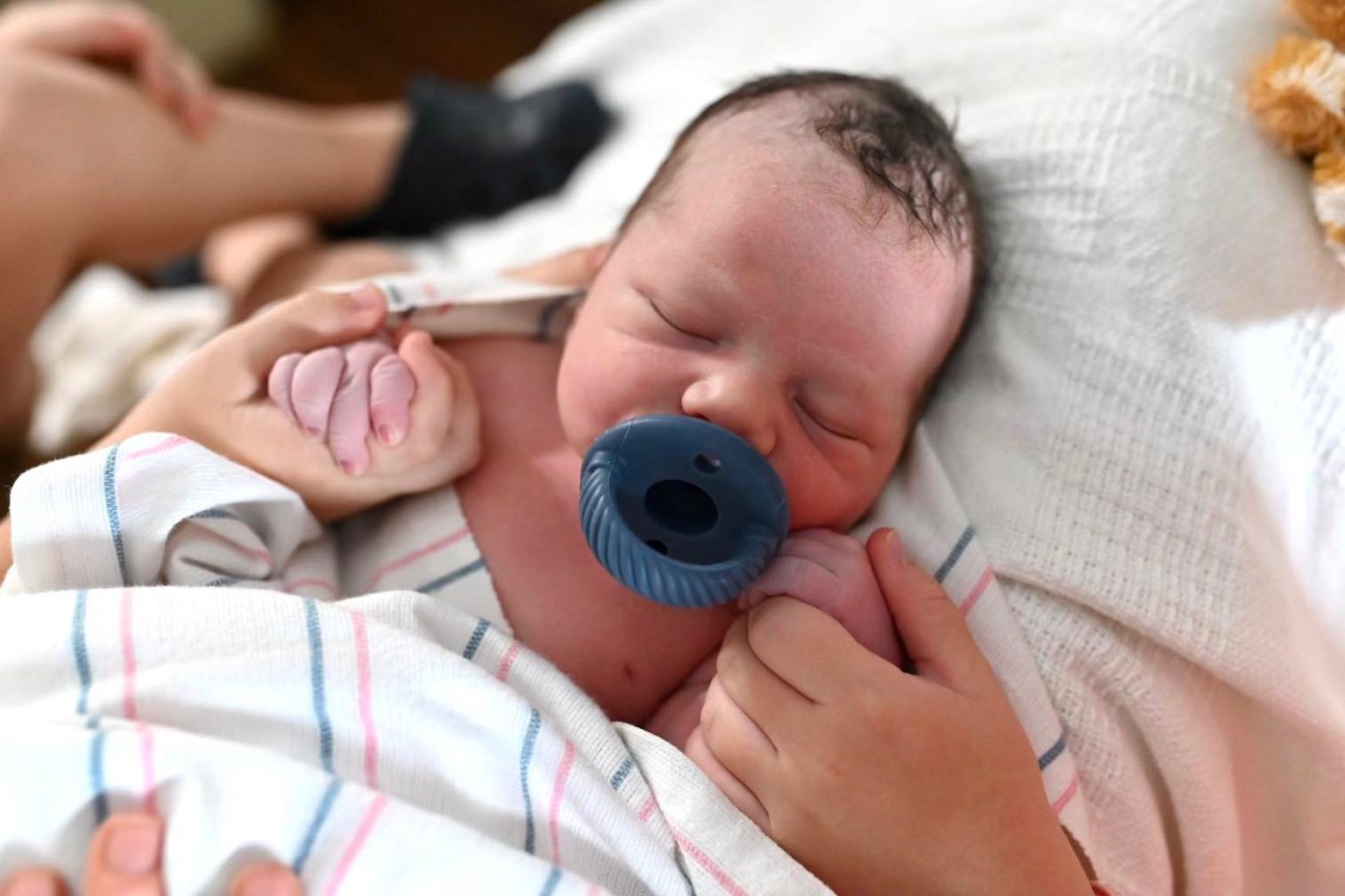 The third testicle? What is the epididymis? – Northeast Georgia ...