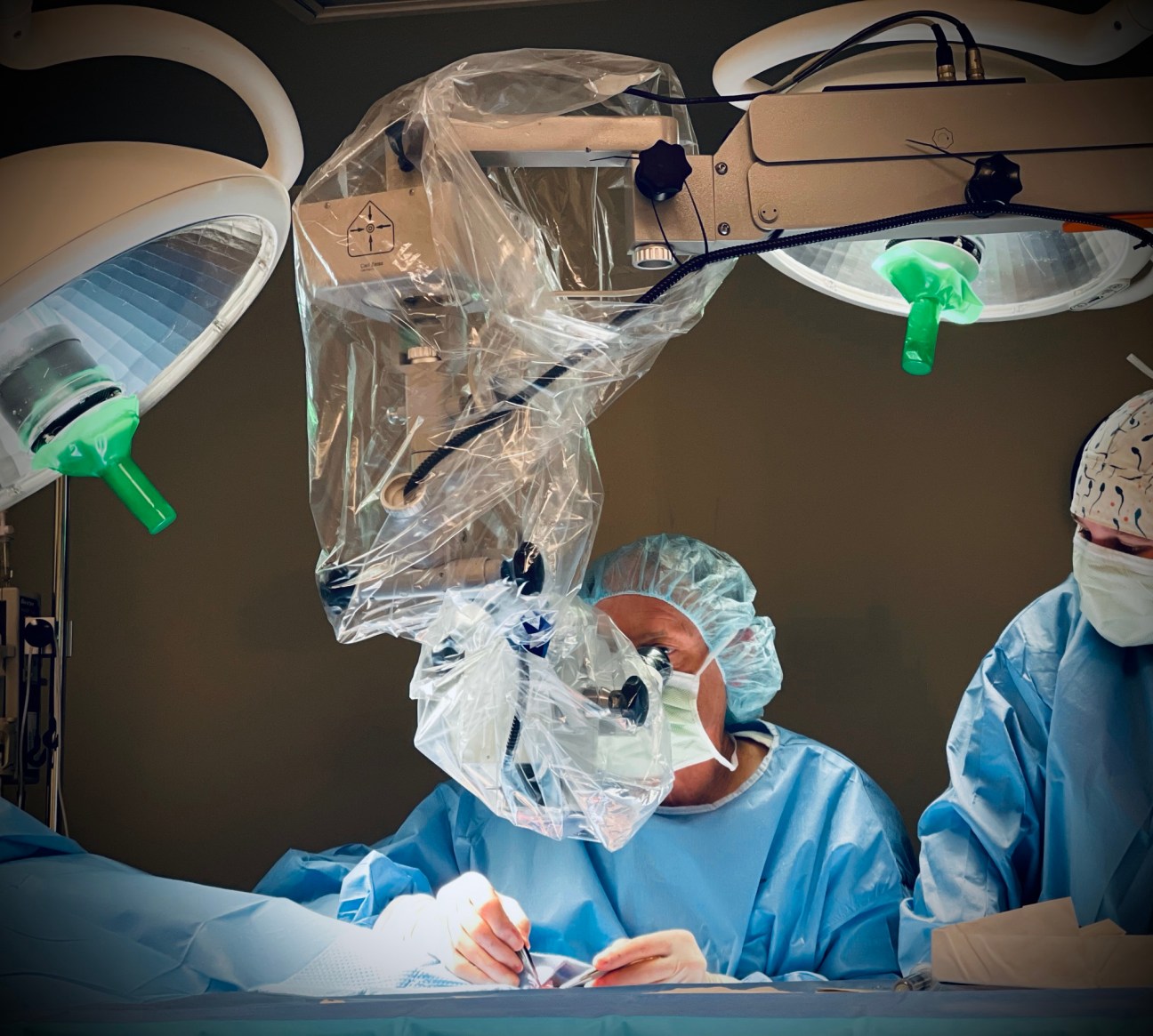 What is the verumontanum and why is it important during GreenLight ...