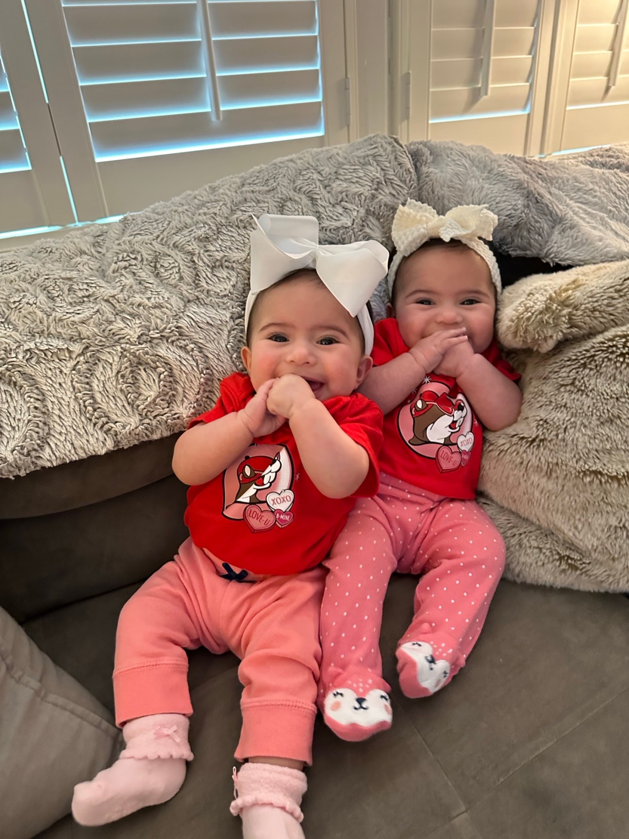 The third testicle? What is the epididymis? – Northeast Georgia ...